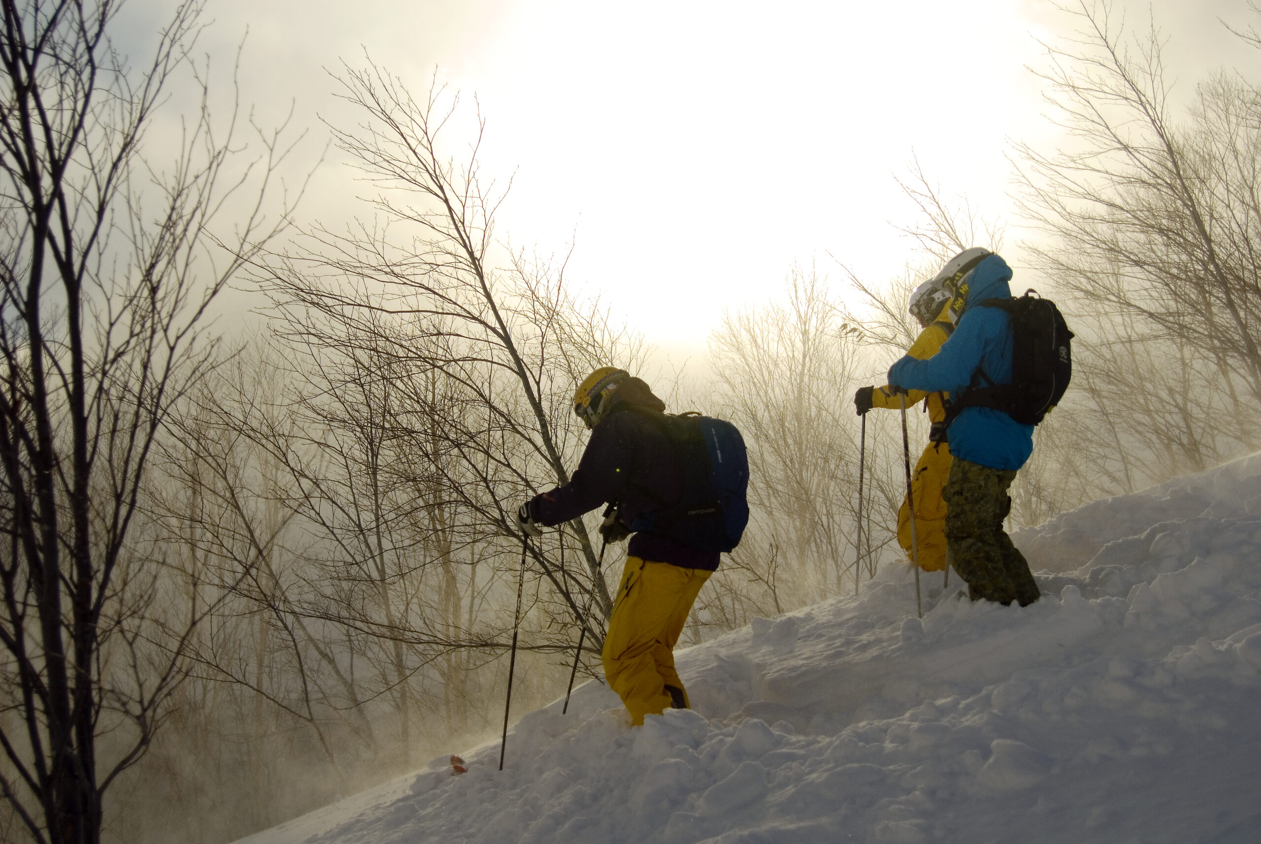 RENTALS AND LESSONS - MORINO LODGE